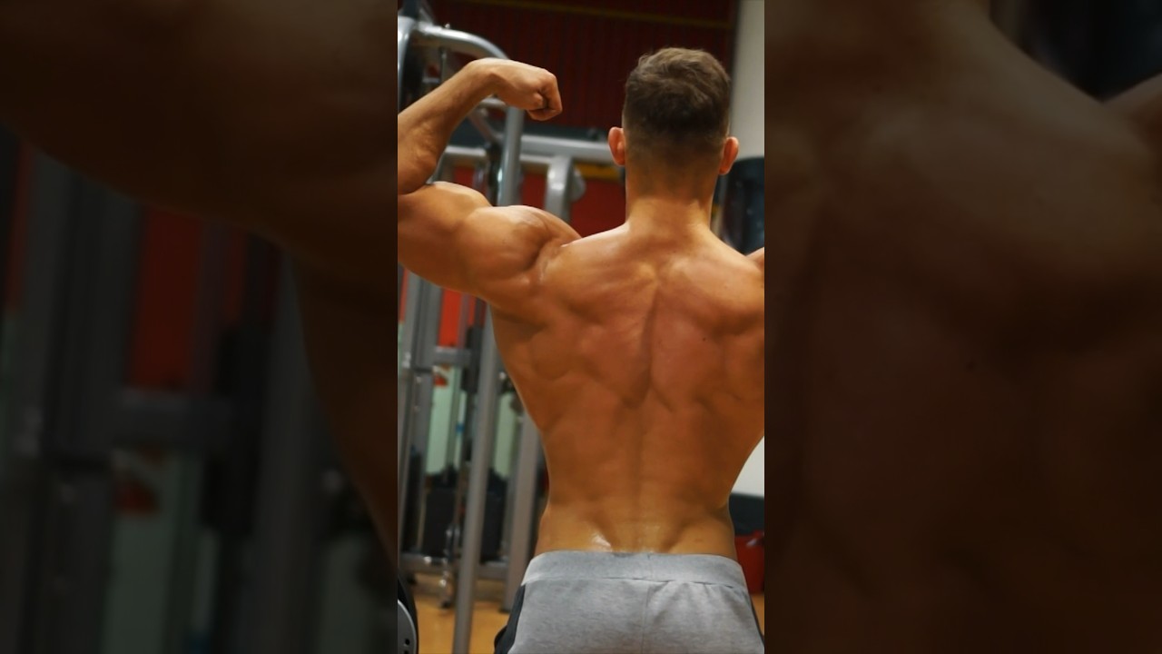 Best Exercises For Back Day