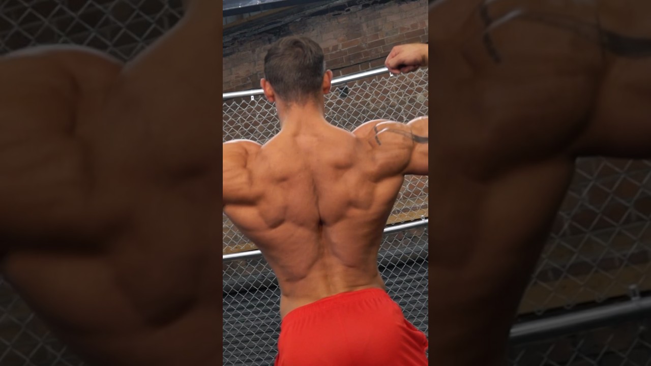10 Best Back Day Exercises